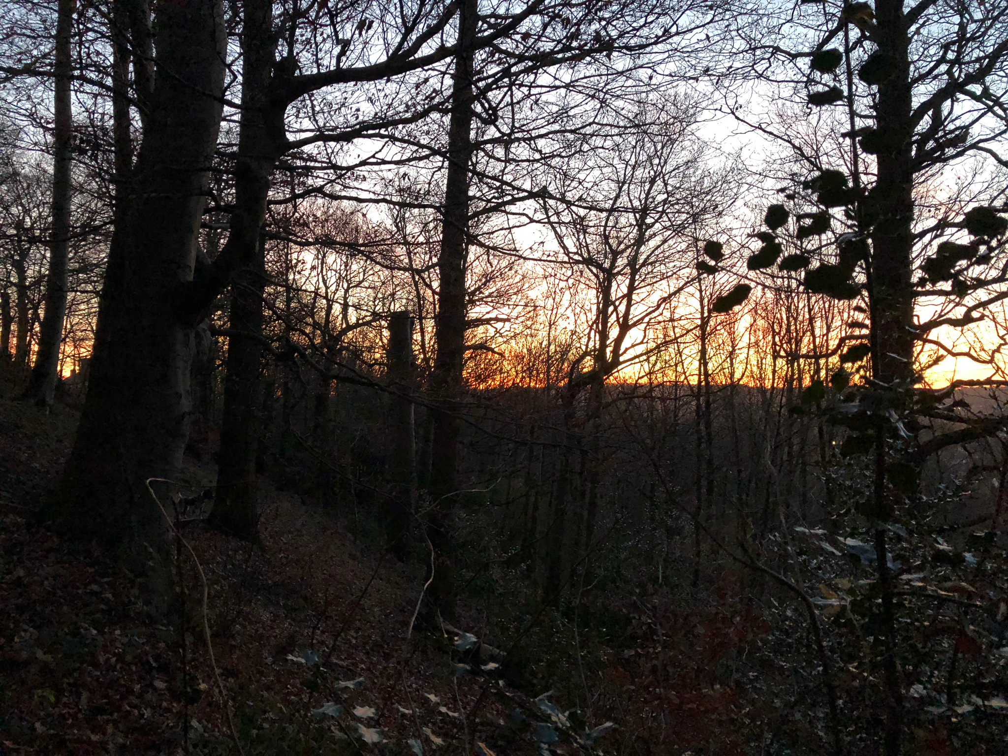 About Tim Slack | Tim Will Slack